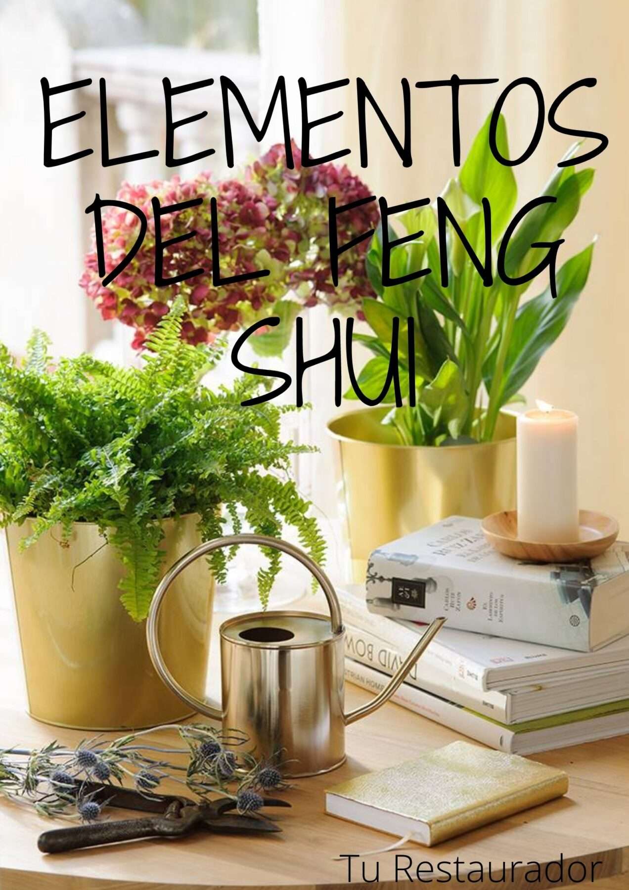 Como utilizar los 5 elementos del Feng Shui para armonizar tu hogar ...